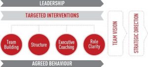 High Performance Cultures Consultants | TMS Consulting