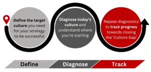 Home - TMS Consulting