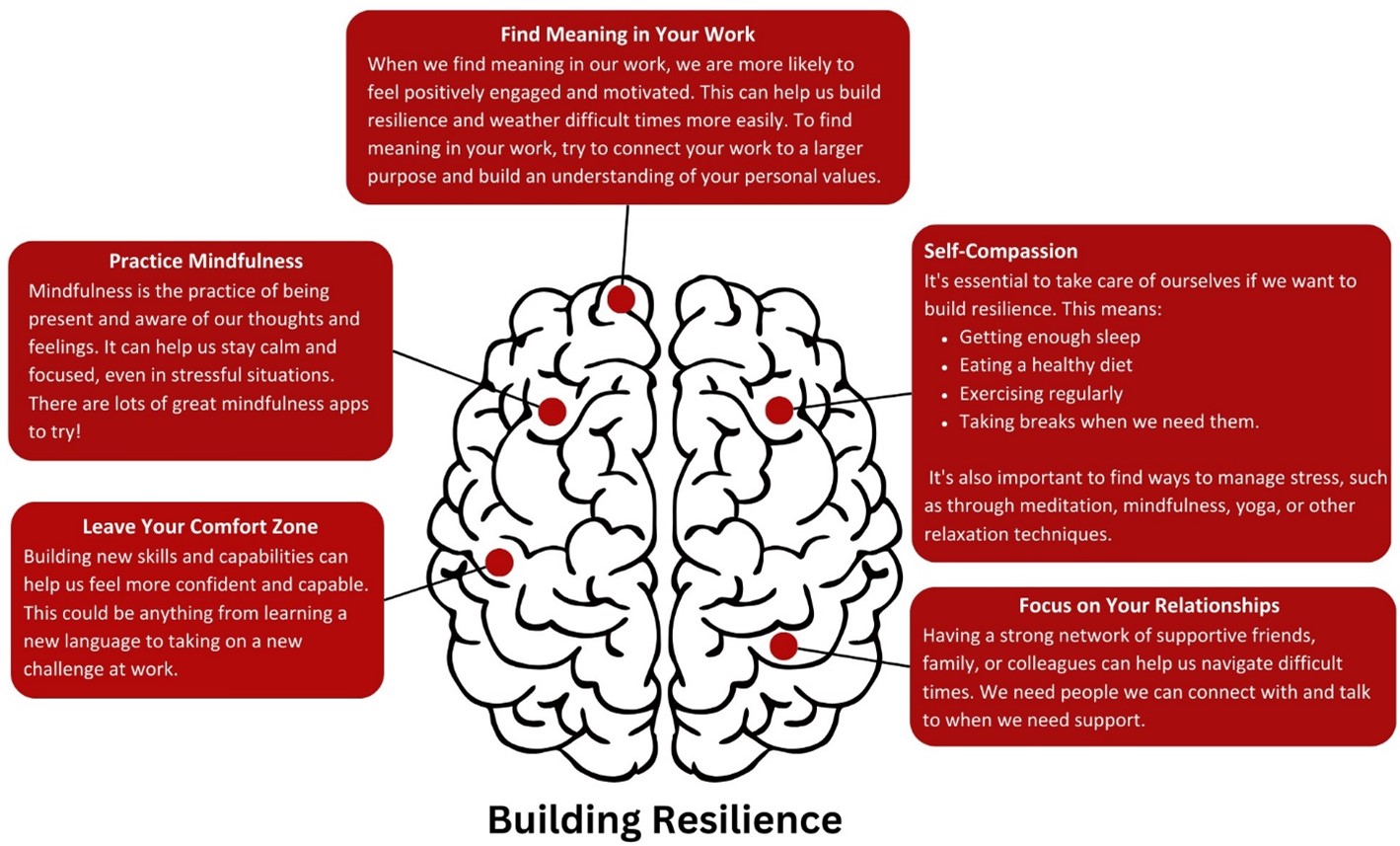 Maintaining Resilience During Transformation - TMS Consulting